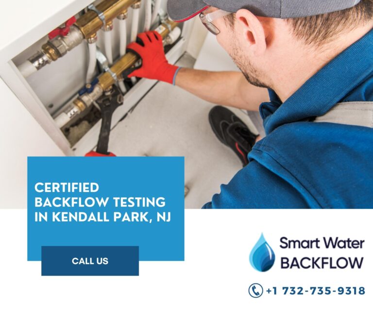 Why is a backflow installation mandatory for our homes?