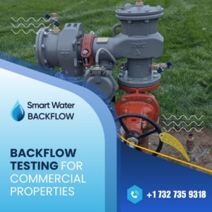 Choosing the Right Backflow Preventer for Your Plumbing